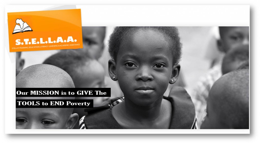 Kicking Off the STELLAA Blog Tour | Terry Fallis, Novelist